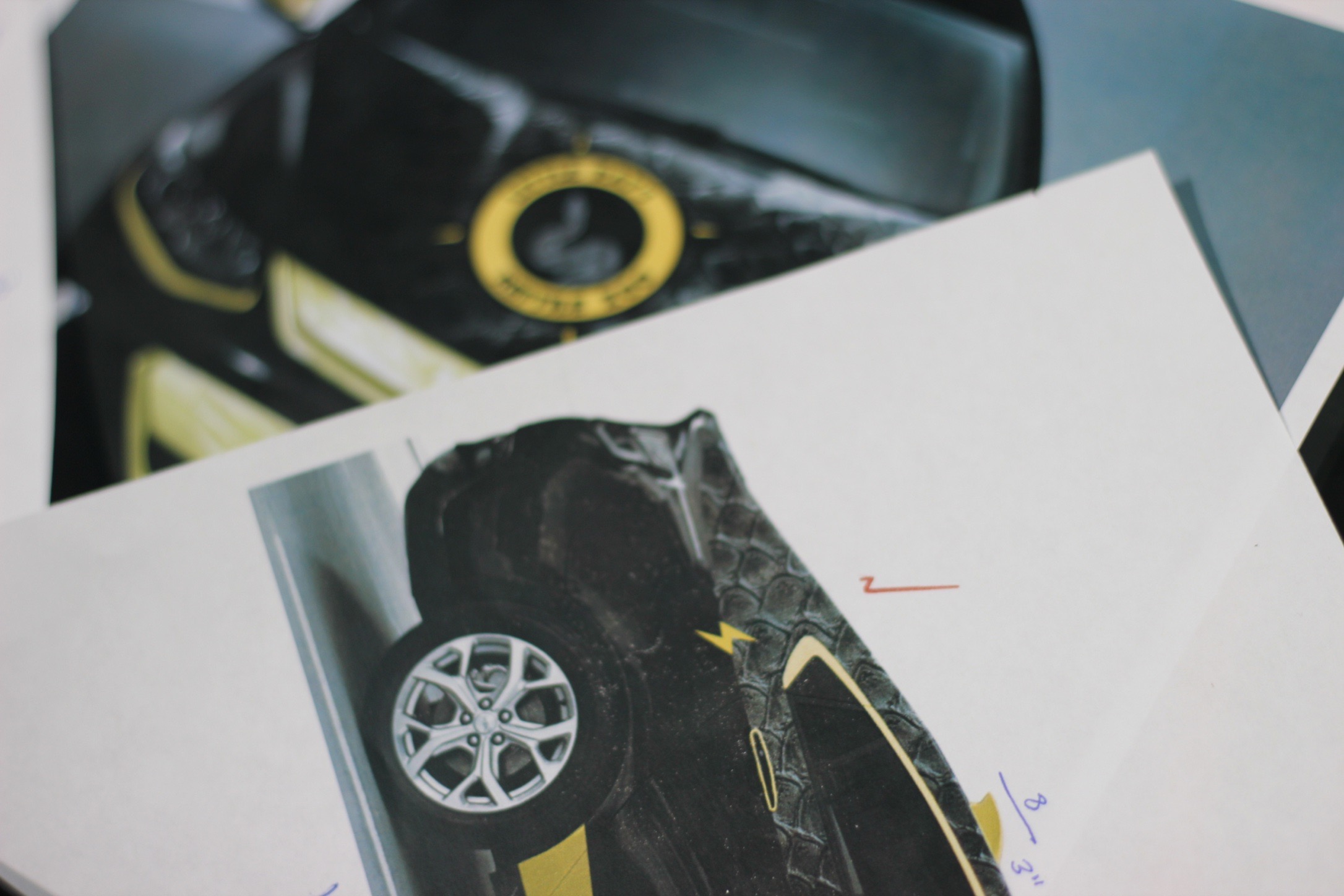 rays reptiles electric volt wrap - K6 Media